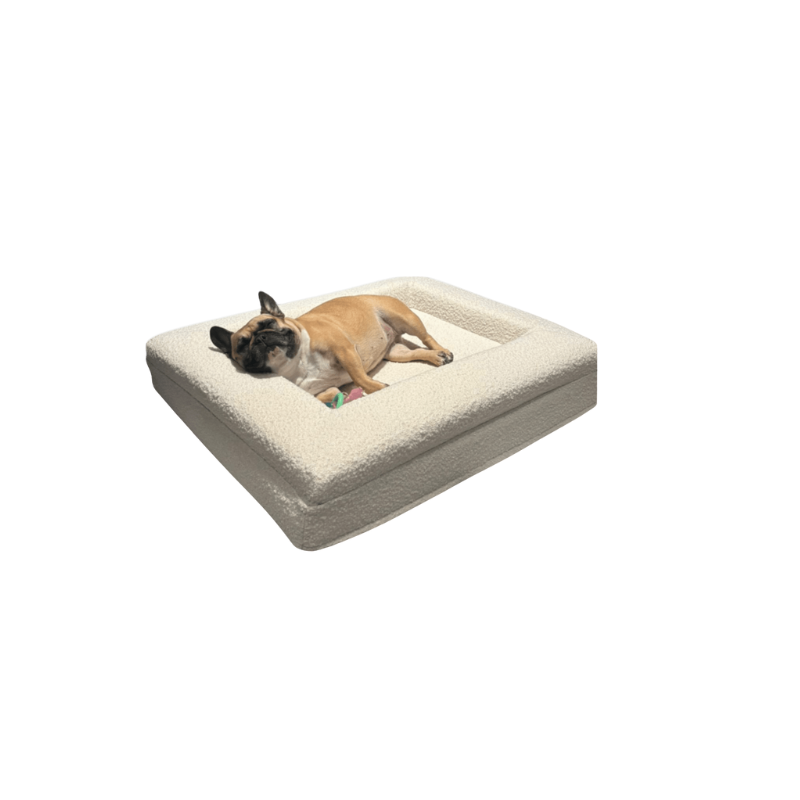 Pet Supplies – Styled House